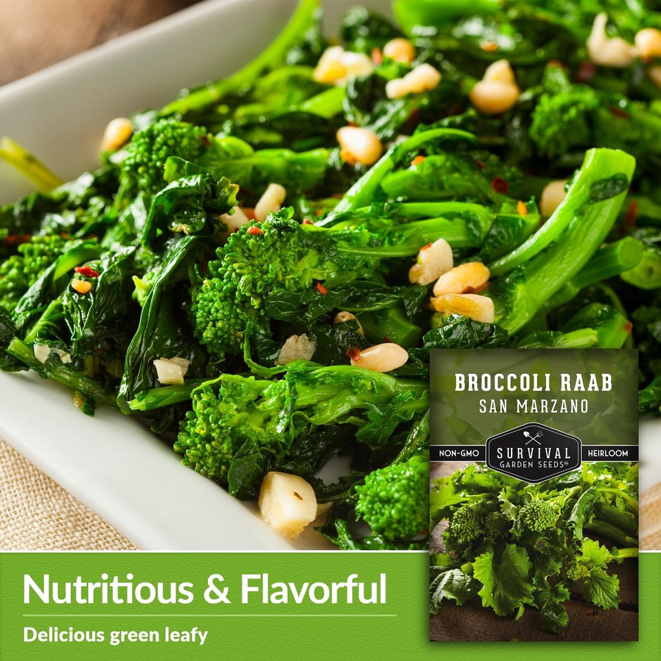 Broccoli Rabe Seeds