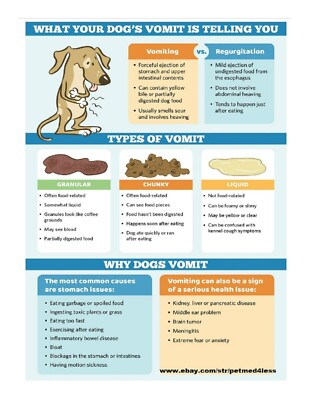 DOG'S VOMITING POSTER - GLOSSY PAPER - NON-LAMINATED - MADE IN USA | eBay