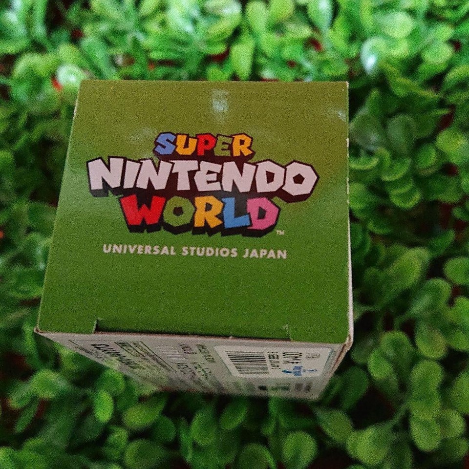 USJ Super Nintendo World Mario Kart ~Luigi~ | eBay UK