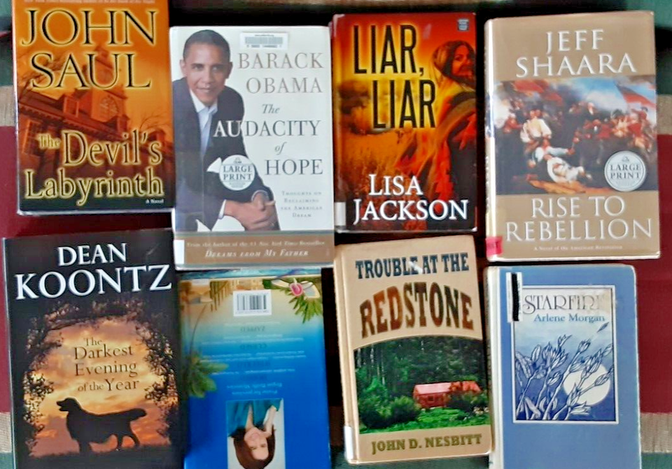 LARGE PRINT Fiction, Non-Fiction Books YOU PICK THE TITLE Hardcover ...