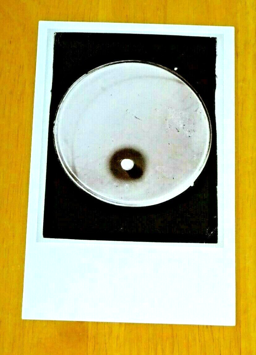 SCIENCE MUSEUM POSTCARD ~ PENICILLIN GROWING IN A PETRIE DISH, JAMES ...