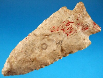 Fine Authentic Kentucky Pine Tree Point Arrowheads ex: E Kelly ...