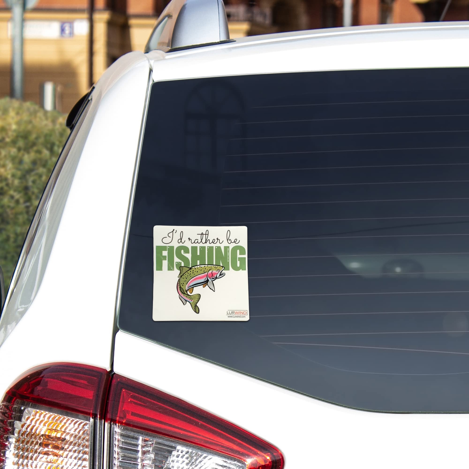 Lurwind Pro-Tec Jigs and Lures Powder Paint, Jig Head Powder Coat Paint ...