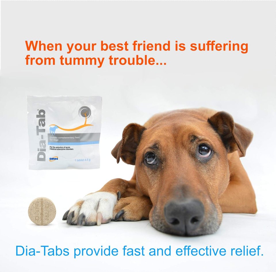 Dia-Tab Diarrhoea Tablets for Dogs & Cats - Chewable Relief, 6 Pack + 5 ...