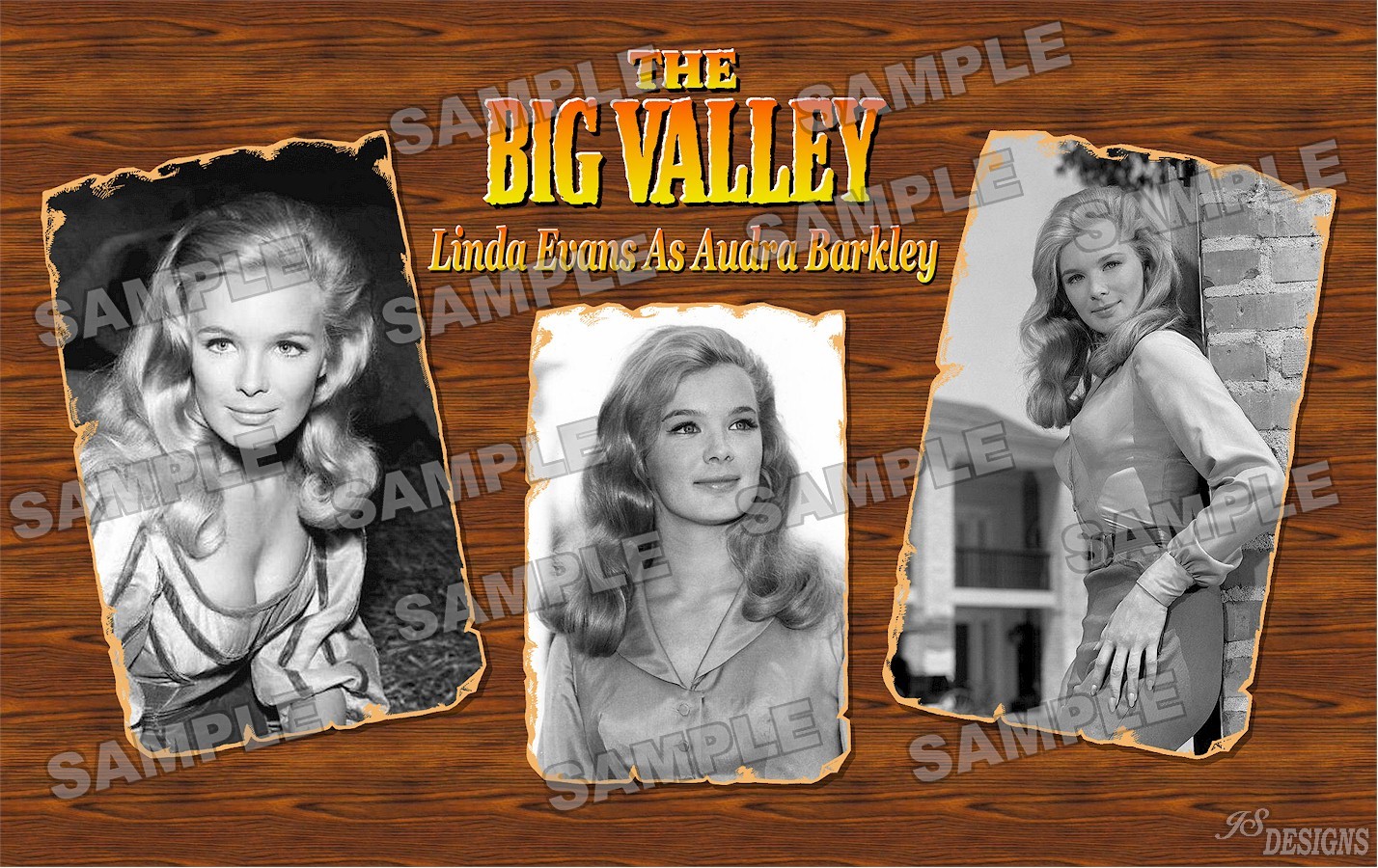 Linda Evans Audra Big Valley TV SHOW Fan Made Poster print 11 X 17-2 ...