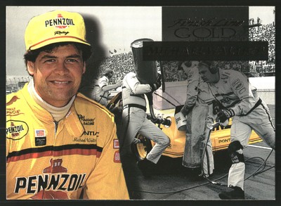 Michael Waltrip 1994 Finish Line Gold #84 Bahari Racing | eBay