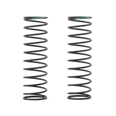 Racing Performer Ultra Rear Buggy Springs (Green/Dirt) (2) (Soft) | eBay