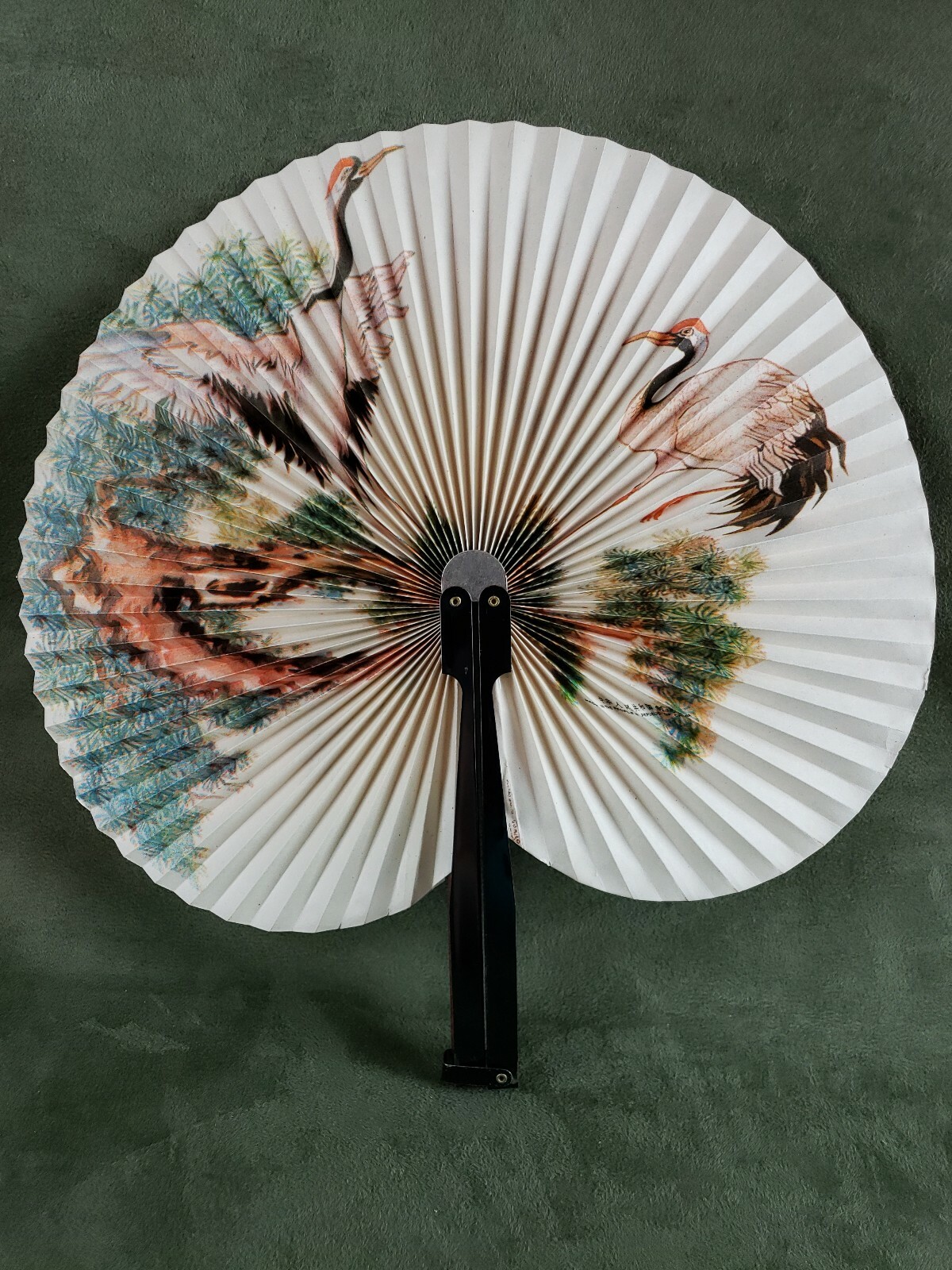 Vintage Peacock Pocket Paper Folding Fans Chinese Birds in box ...