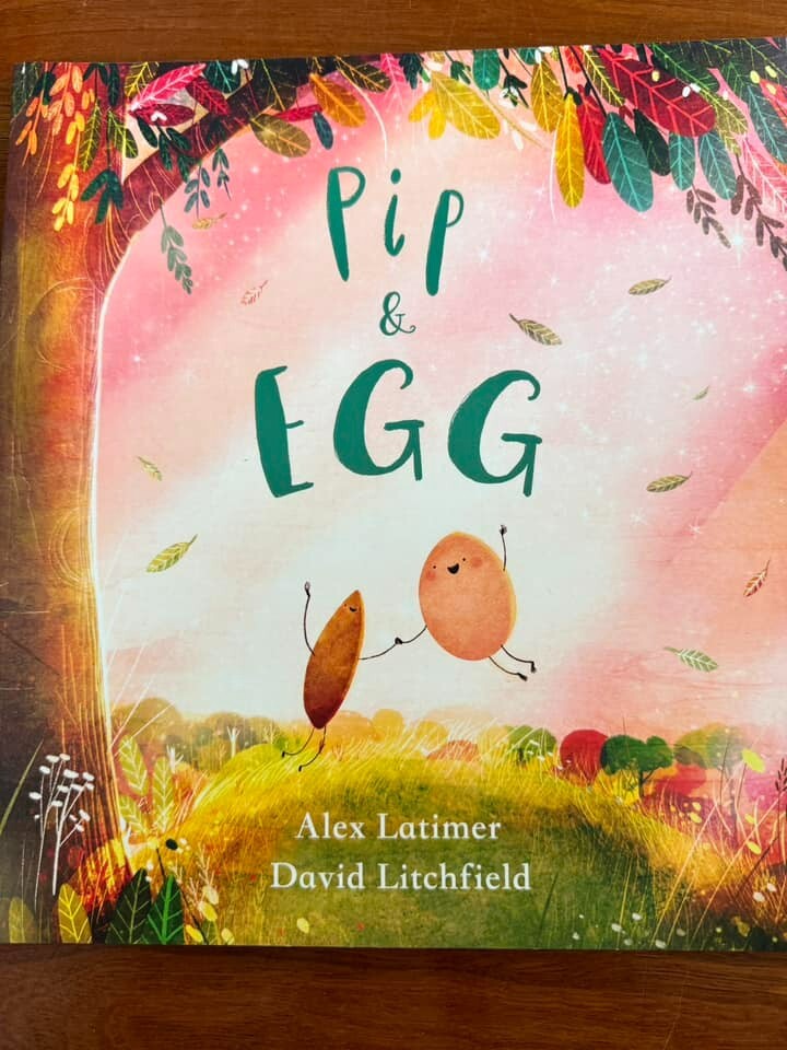 Pip and Egg - Alex Latimer - David Litchfield - BOOK - New but has ...