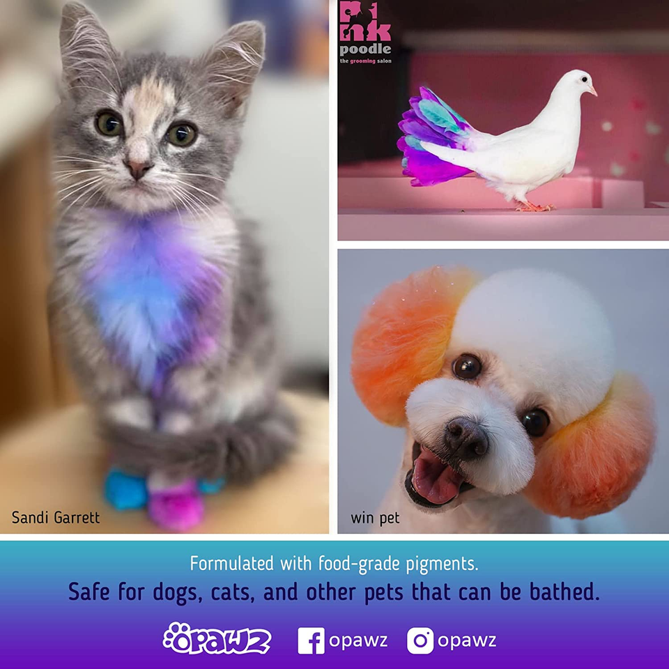 Semi-Permanent Dog Hair Dye, Food-Grade Pigment Dog Dye, Non-Toxic Pet ...