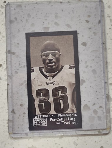 2008 Mayo Brian Westbrook Mini Princeton Back SP | eBay