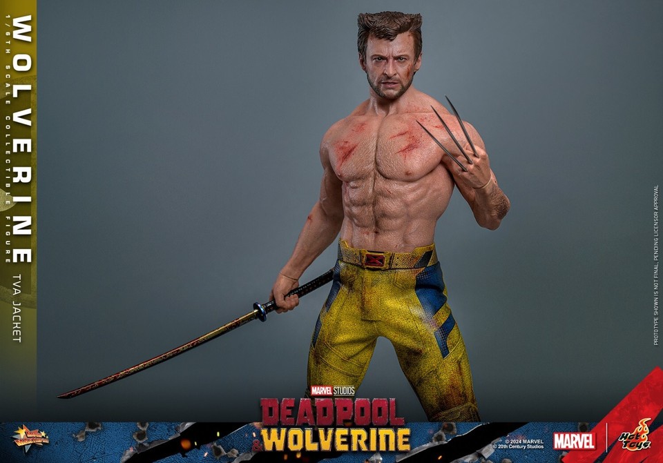 Pre-order Hot Toys MMS756 1/6 Marvel Deadpool and Wolverine Toy TVA ...