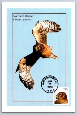 #4612 Birds of Prey Northern Harrier FDC Maxi Card | eBay