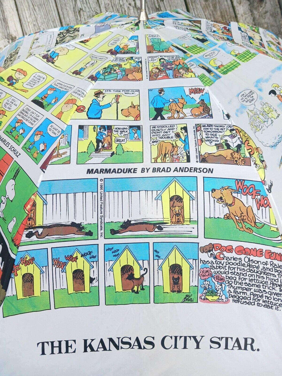 Vintage Kansas City Star Newspaper Umbrella Comic Str… - Gem