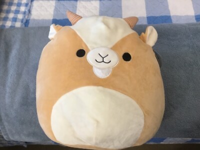Groat Squishmallow 13” inch New With Tag KELLY TOY | eBay