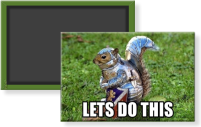 Armor Animal Memes Whatever Happened To Lucky's Guinea Pig Armor?