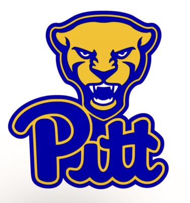 Pitt Panthers Logo - Die Cut Laminated Vinyl Sticker/Decal | eBay
