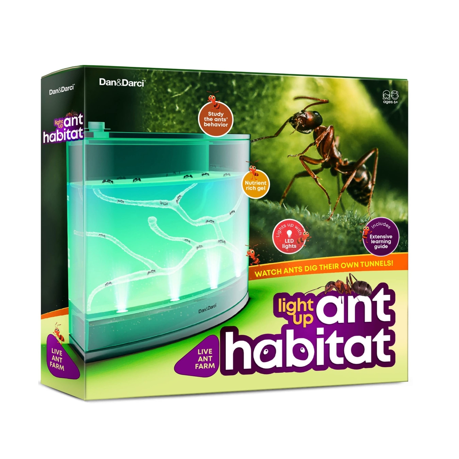 Jelly Ant Farming Material