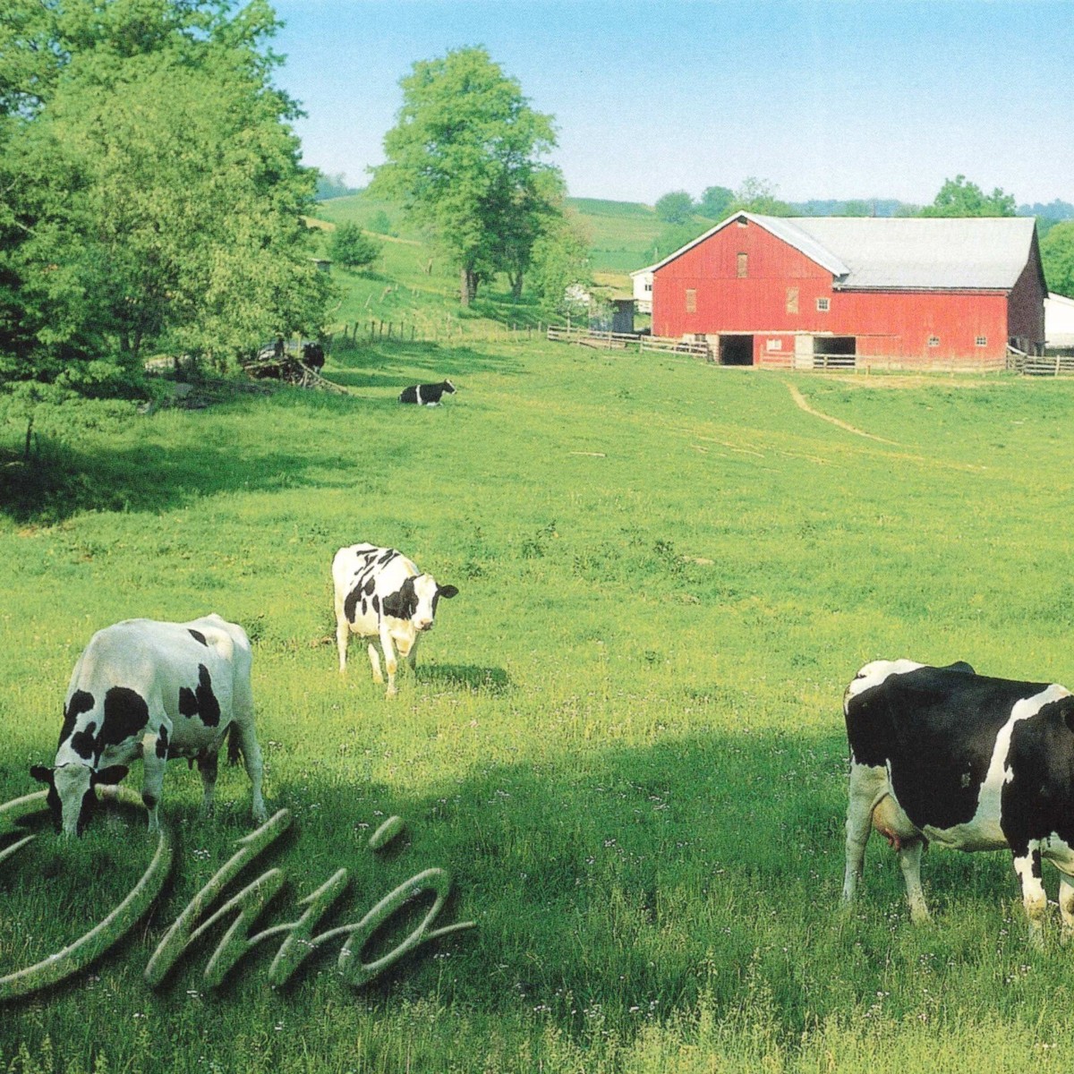 Best Cattle Barns 44 Best Small Cow Barn Ideas | Barn Plans, Barns