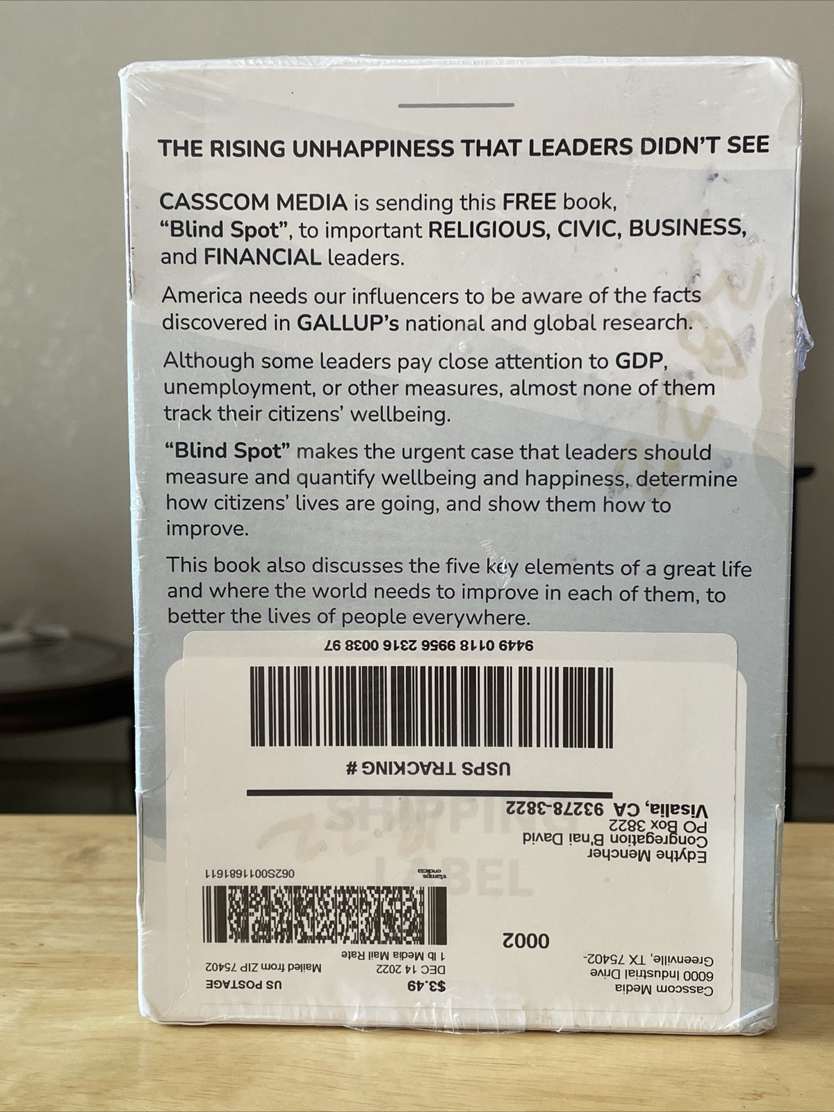 Blind Spot : The Global Rise of Unhappiness and How Leaders Missed It ...