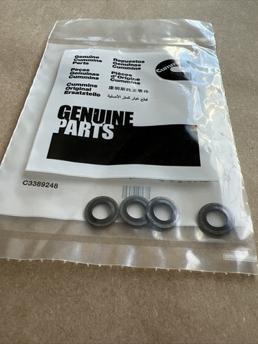 OEM Cummins 3918188 8 MM Banjo bolt fuel sealing washers Qty 4 fits 5.9 ...