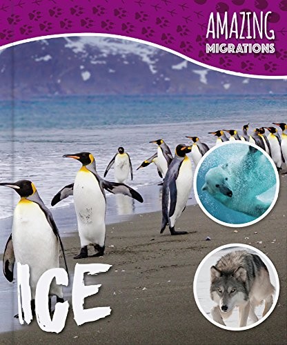 ICE (AMAZING MIGRATIONS) By Harriet Brundle & Sonia Holleyman ...