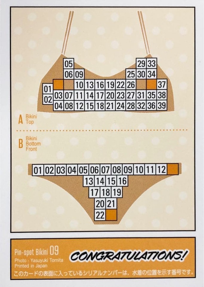 Shinonome Umi Vol.3 Trading Card Pinspo Bikini 09 Hit'S | eBay