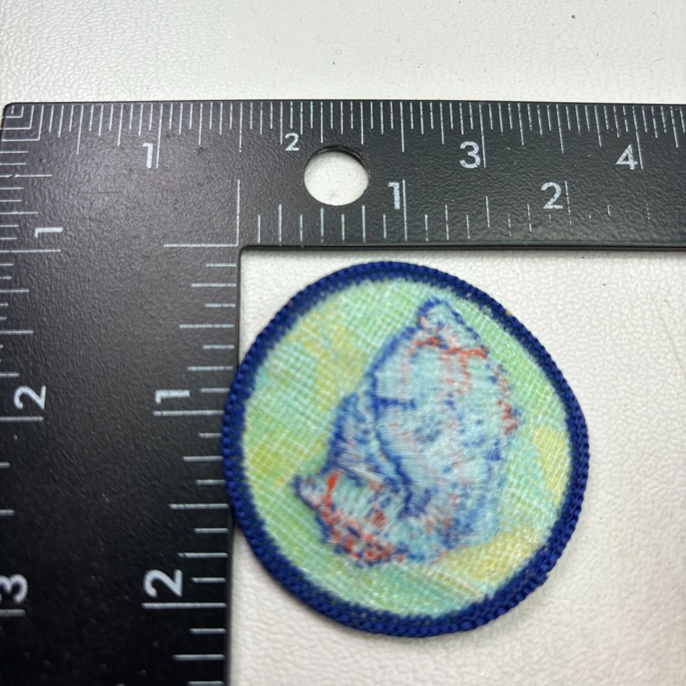 Vintage Boy Scouts BADGER Patch 46E4 | eBay