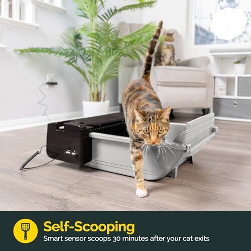 Semi Automatic Cat Litter Box Self Cleaning - Smart Scoop Cat Litter ...