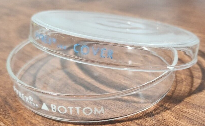 PYREX Glass Petri Dish 100mm x 10mm Cover & Bottom Reusable Pick ...