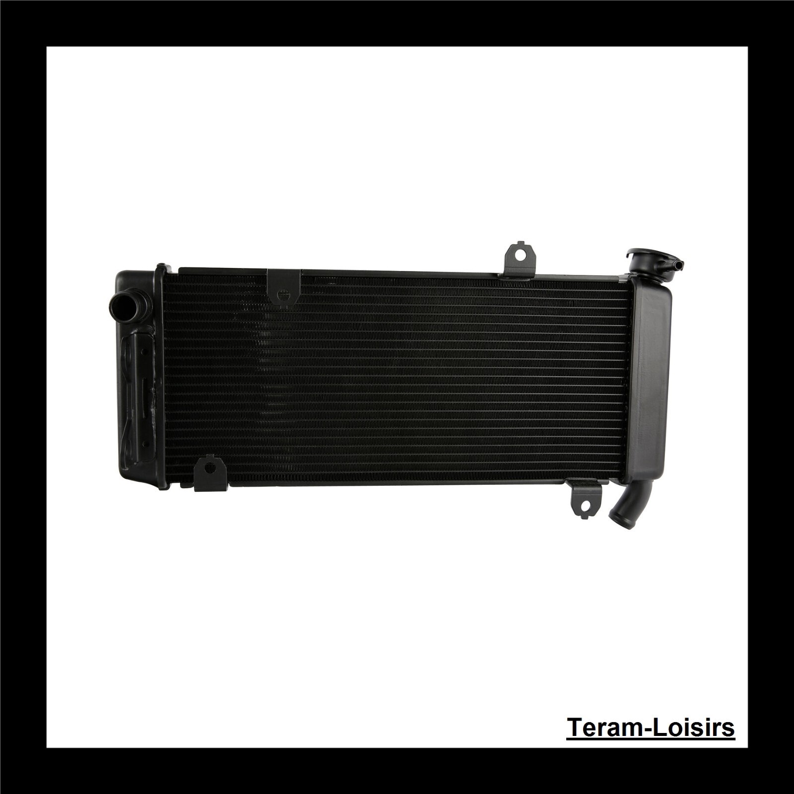 Radiator For Kawasaki VERSYS KLE 650 ABS From 2015 To 2022 / Type 39061 ...