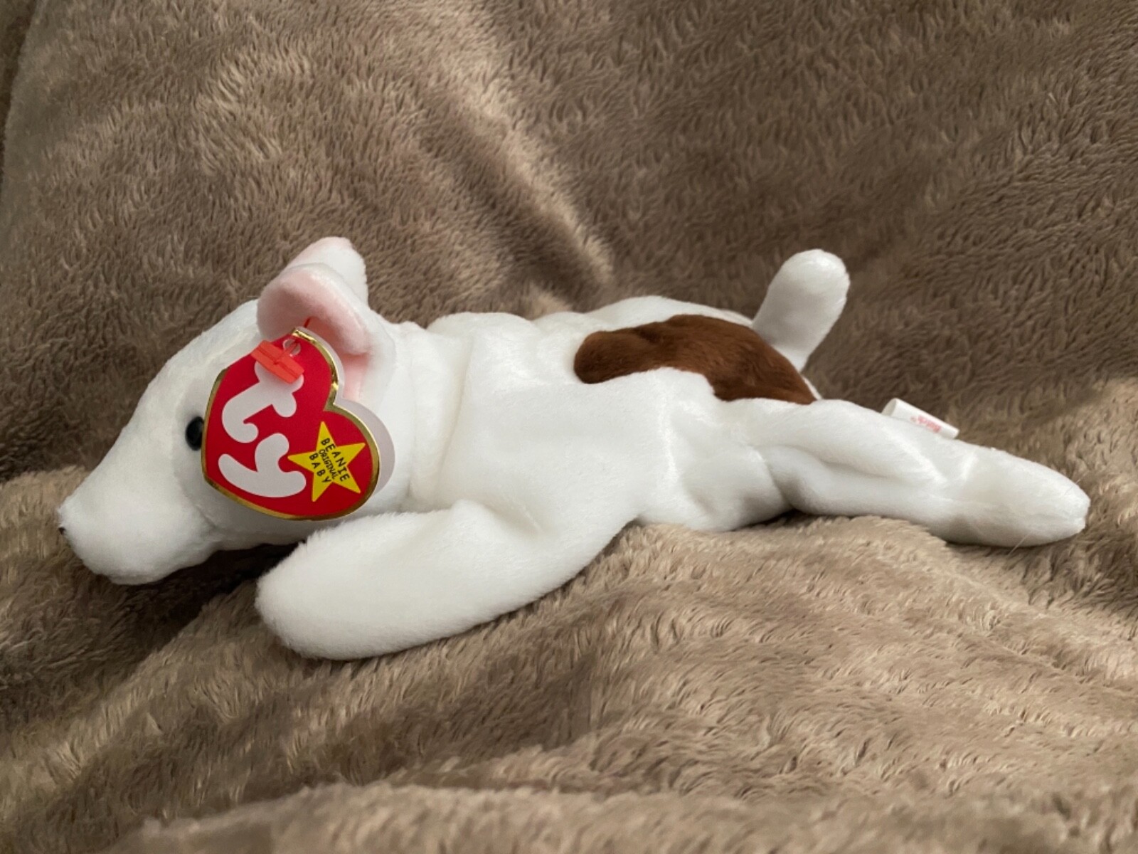 Ty Beanie Baby Butch the dog October 2 1998 with ear tag & cover also ...