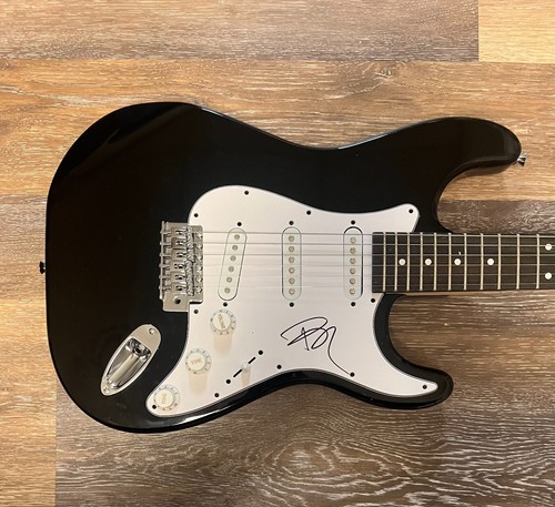 * BILLIE JOE ARMSTRONG * signed electric guitar * GREENDAY * 1 | eBay