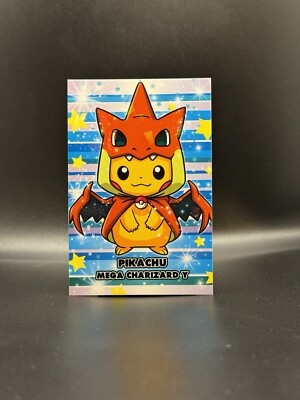 Poncho Pikachu Charizard Hood Pokemon Database Christmas Set Cracked ...