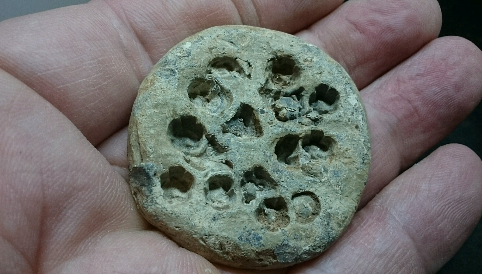 Huge heavy Roman Lead disc with strange markings, Votive site in C ...