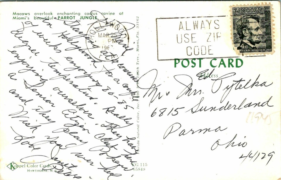 Miami FL Parrot Jungle Macaws Cactus Raving Postcard used (11945) | eBay
