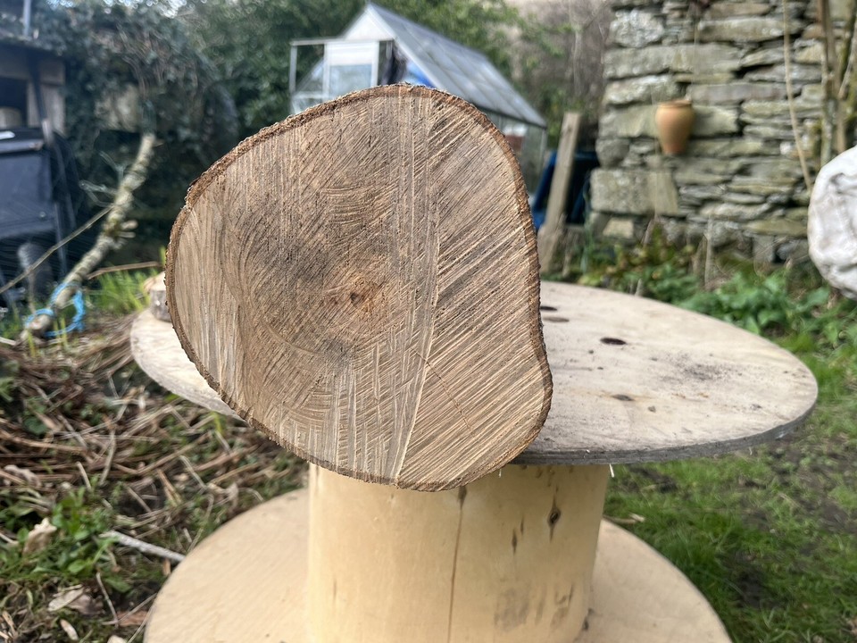 Apple Tree Turning Wood Stem Blank Large 700mm Long 170mm Wide | eBay UK
