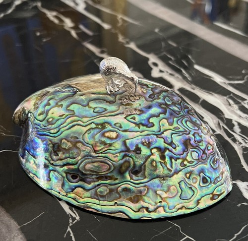 Genuine Paua Shell Made In New Zealand | eBay