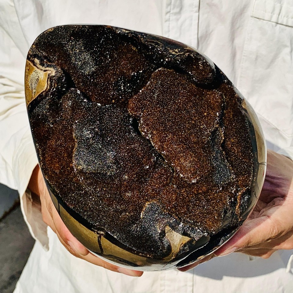 7.92LB Natural Turtle Back Stone Dragon Crystal Cave Crack Gem Healing ...