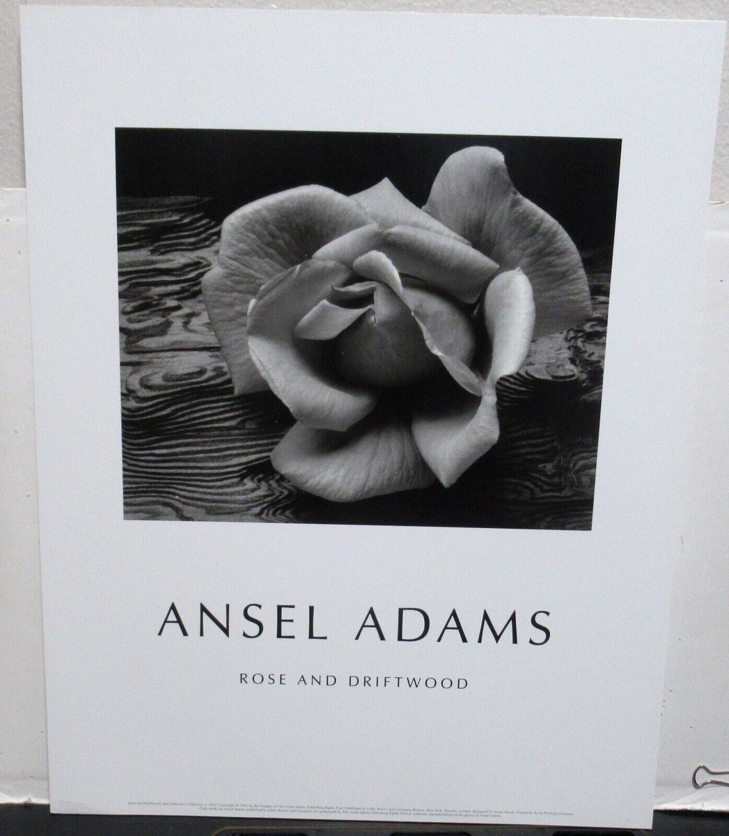 Ansel Adams Color Flowers Ansel Adams Photographer Images