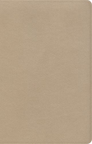 CSB Large Print Personal Size Reference Bible, Gold LeatherTouch, Red ...