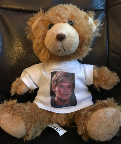 ONE DIRECTION Niall Horan TEDDY BEAR 1D | eBay