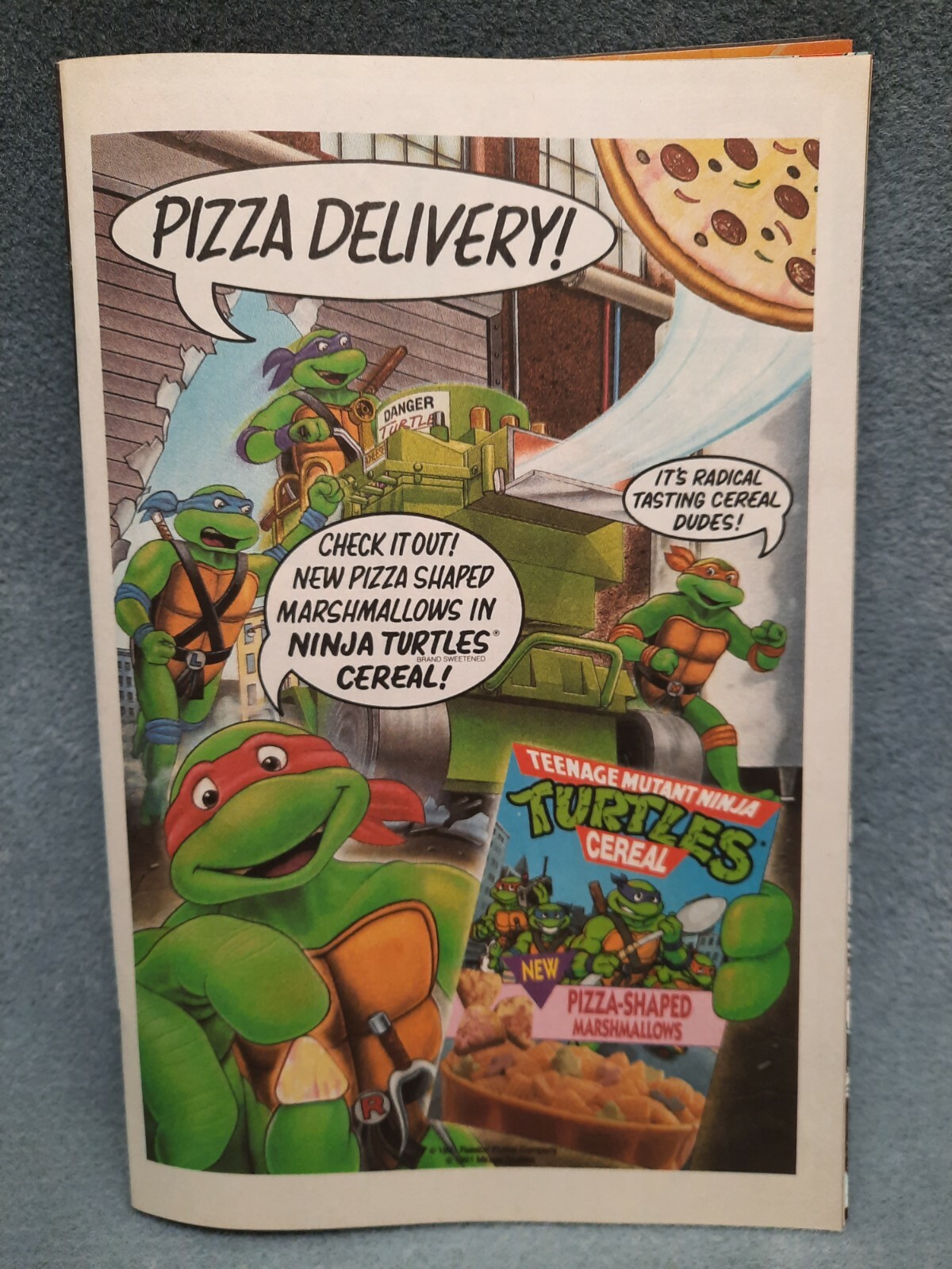 Ninja Turtle Pizza Delivery