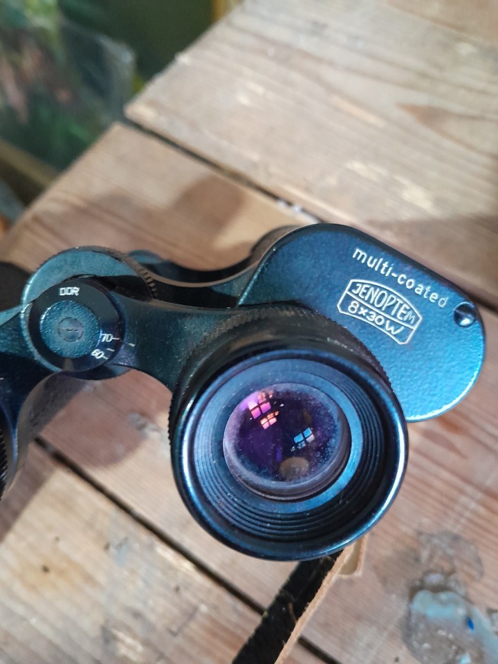 VINTAGE CARL ZEISS JENA DDR JENOPTOM MULTI COATED 8X30W BINOCULARS ...