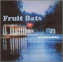 FRUIT BATS - Echolocation - CD | eBay