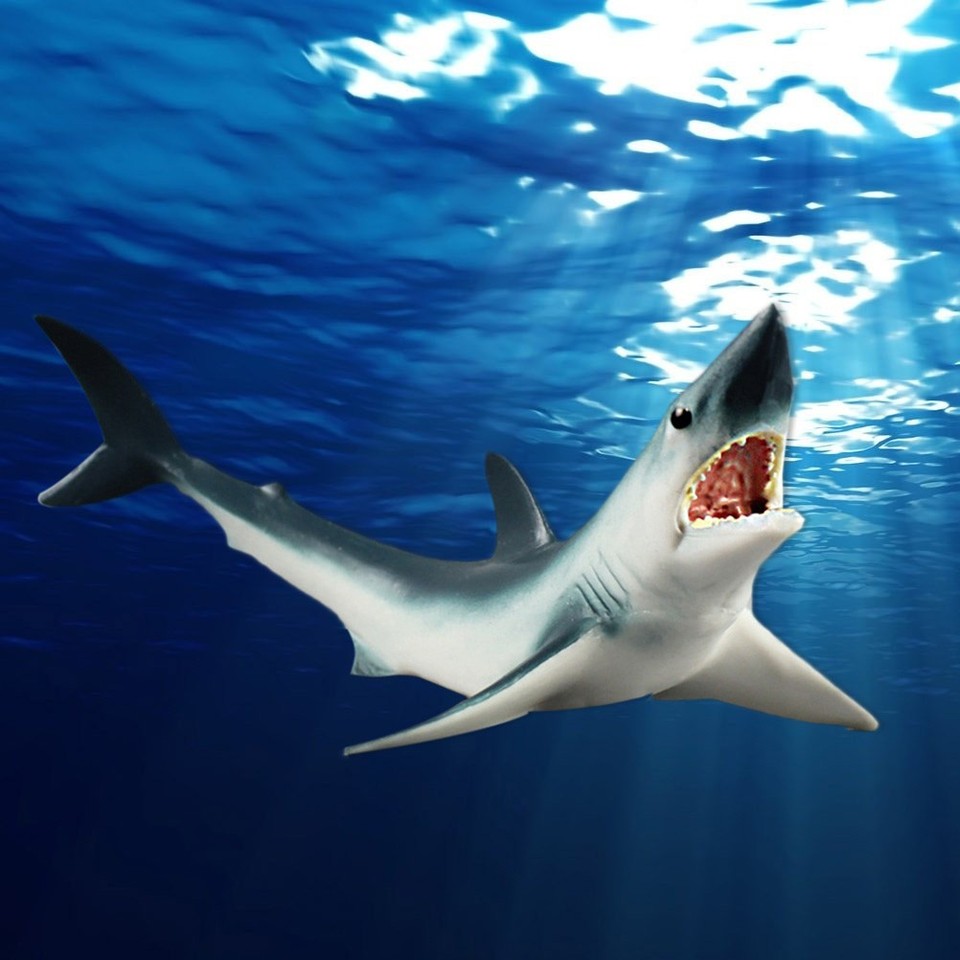 3 Count Shark Figure Simulation Model Toy for Kids Mini Ocean Animals ...