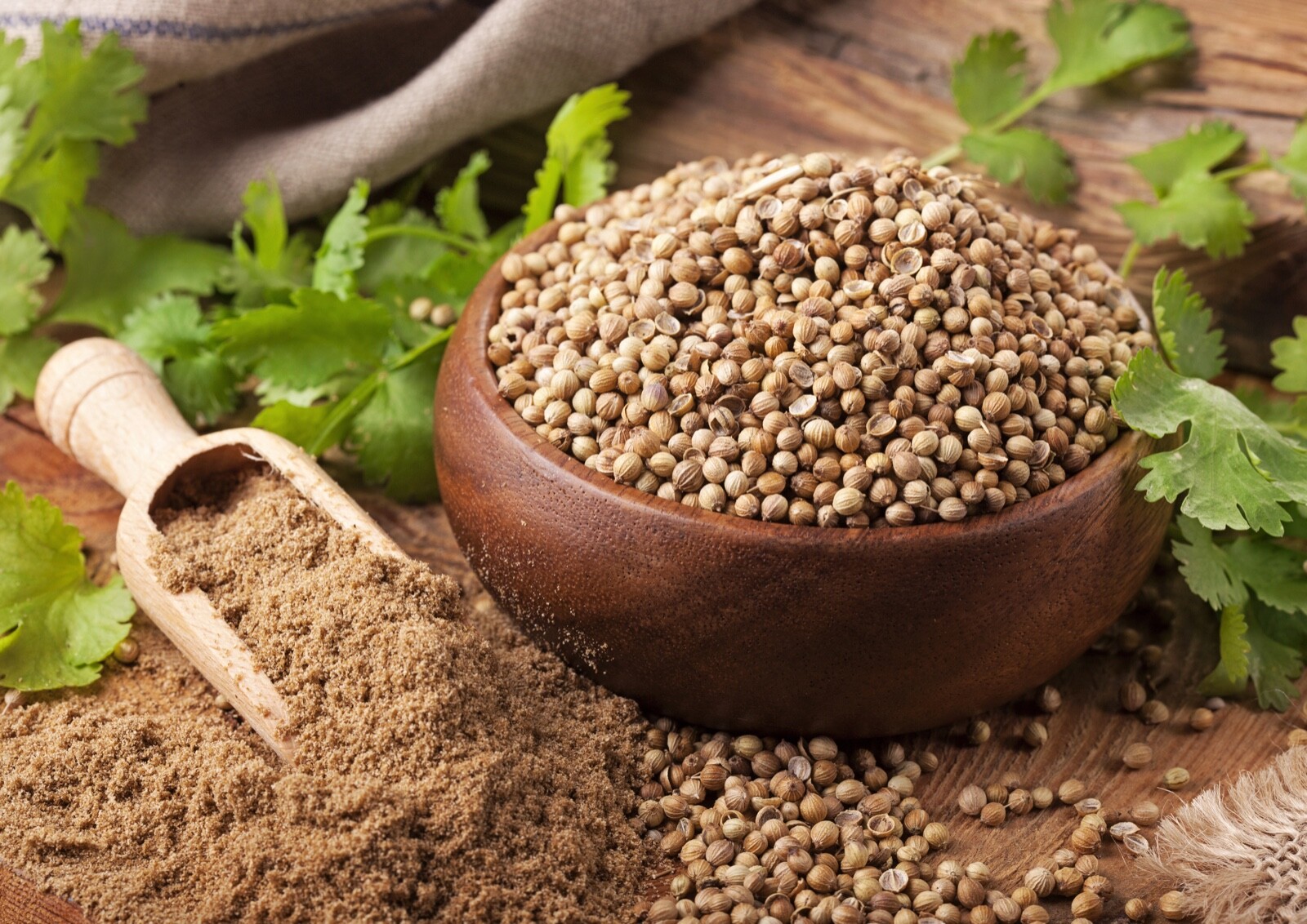 1000g Bio Koriander ganz Coriander Saat Körner Samen plastikfrei ...