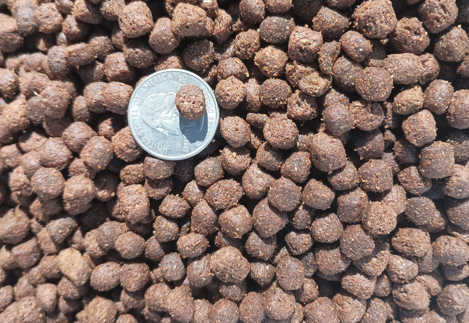 Purina Aquamax fish food -100 / 300 / 400 / 500 / 600 / MVP / 4000 ...