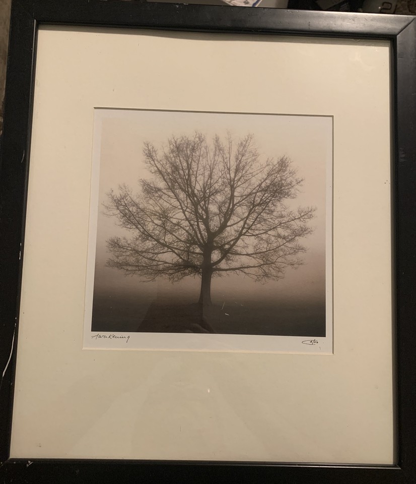 Richard Calvo “AWAKENINGS” Photograph Signed By Artist 14x16 Print | eBay