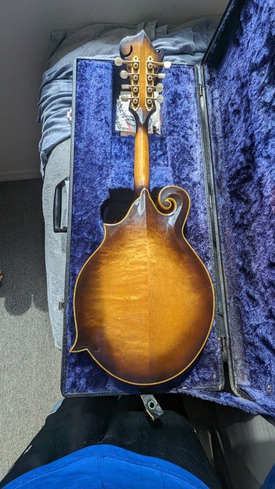 mandolins musical instrument vintage | eBay